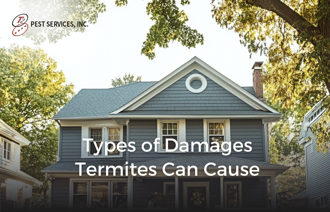 Types of Damages that Termites Can Cause - T2 Pest Services, Inc.