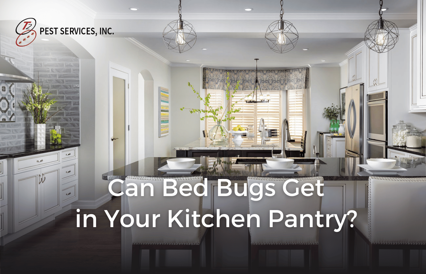 Can Bed Bugs Get into Your Kitchen Pantry? - T2 Pest Services, Inc.