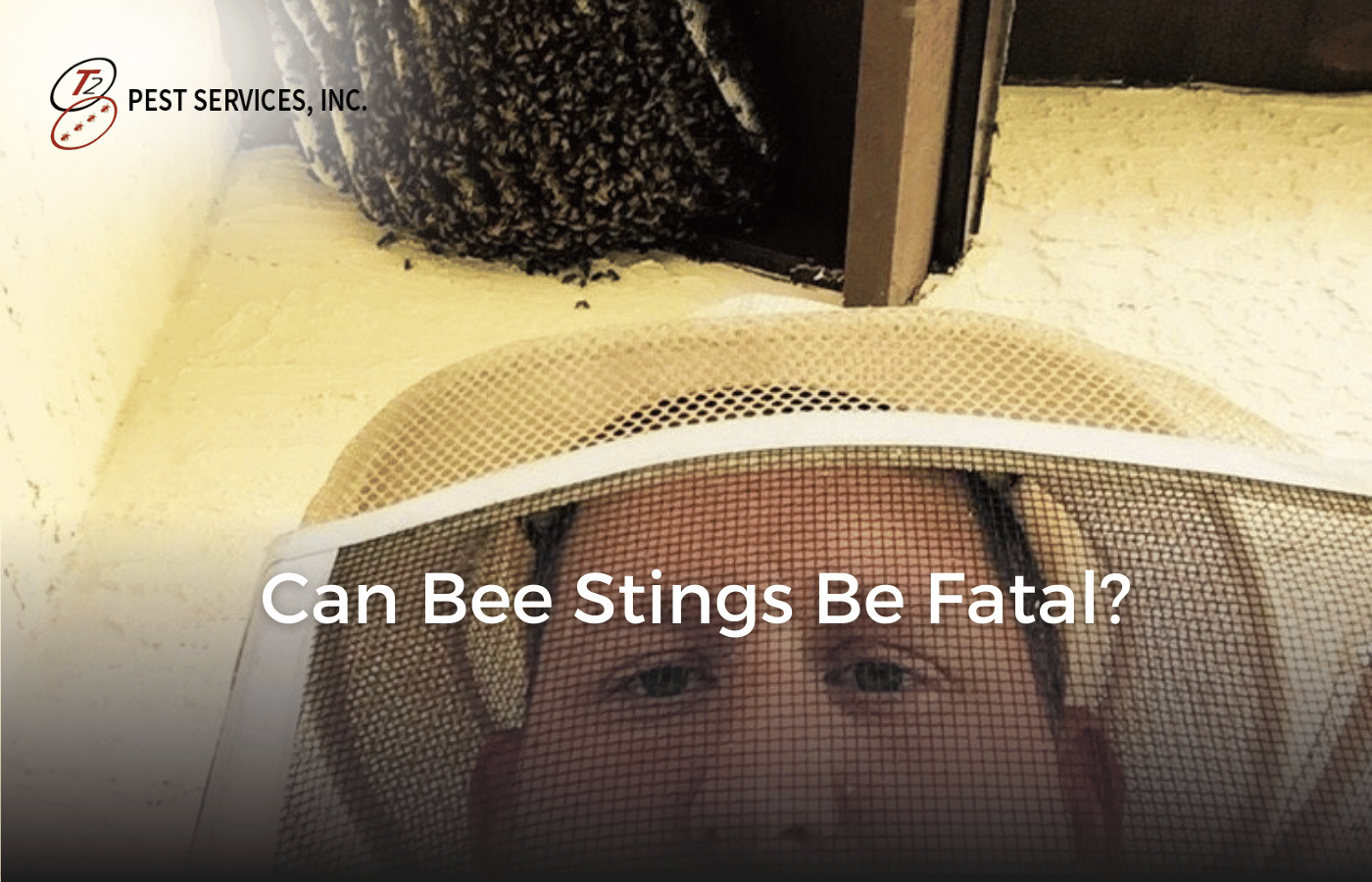 Can Bee Stings Be Fatal? - T2 Pest Services, Inc.