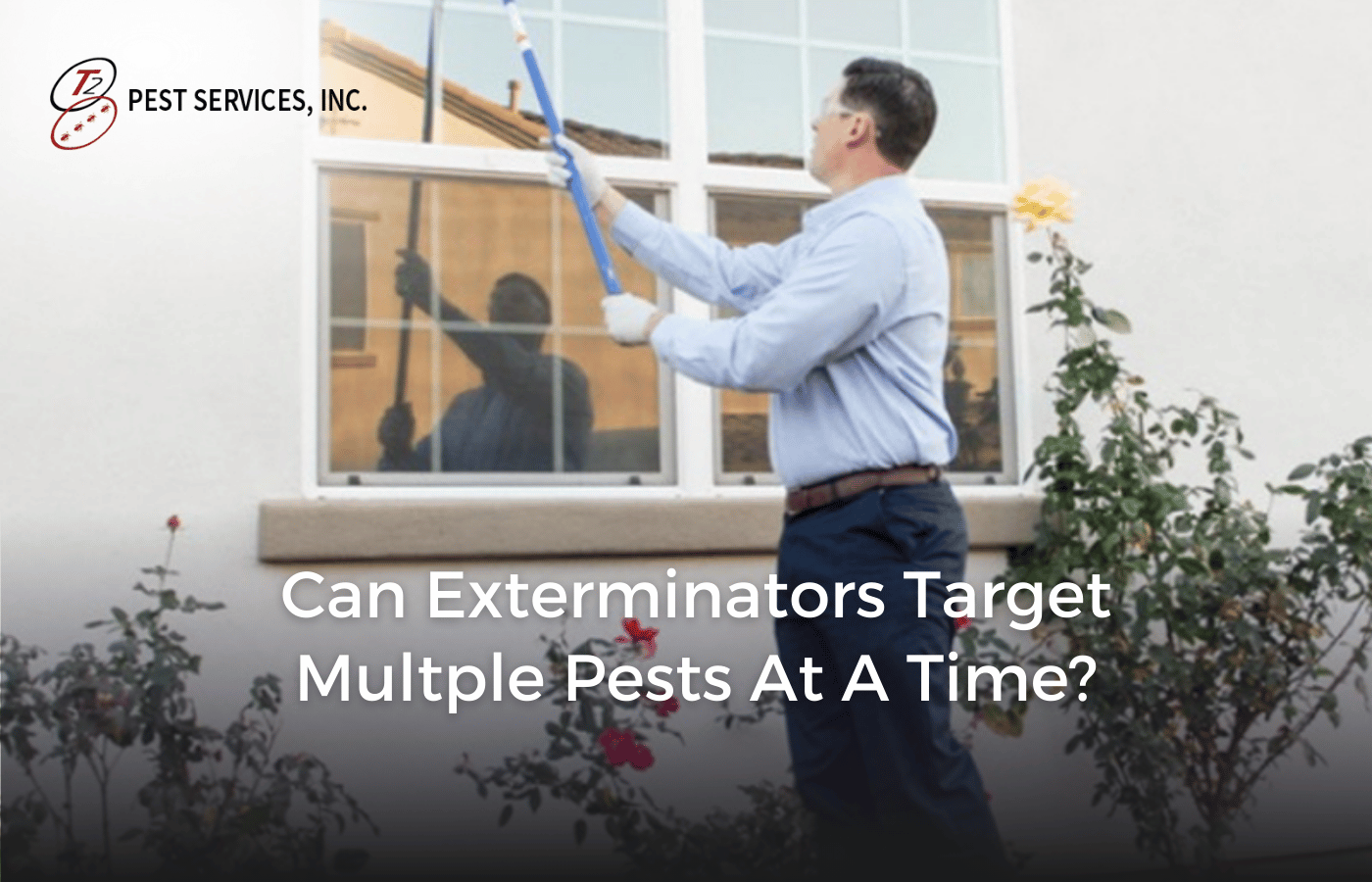 Can Exterminators Target Multiple Pests at A Time? - T2 Pest Services, Inc.